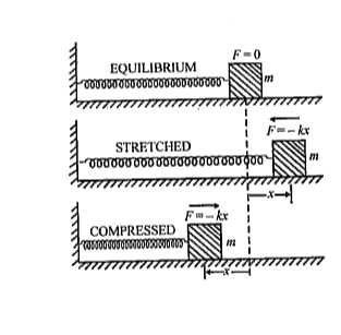Derive an expression for the time period of horizontal oscillations of