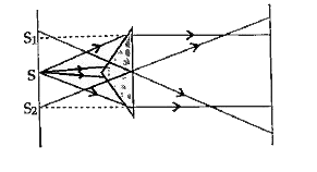[Solved] single prism