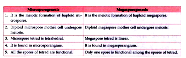 Differentiate between Microsporogenesis and Megasporogenesis. What typ