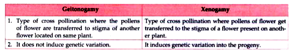 State the similarity and difference between Geitonogamy and Xenogamy.