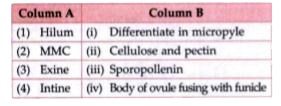 Match the pairs correctly given in column A and column B
