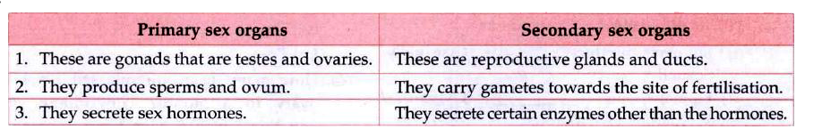 Differentiate between Primary sex organs and Secondary sex organs.