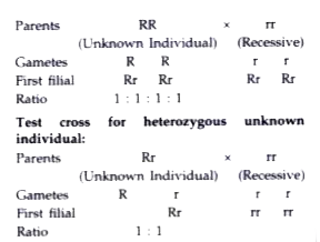 Define and design a test cross.