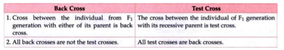 Give the differences between Back Cross and Test Cross.