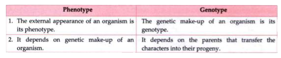 Differentiate between Phenotype and Genotype.