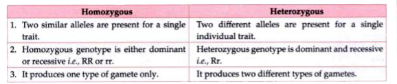 Differentiate between the following . Homozygous and Heterozygous.