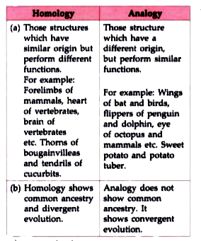 Differentiate between analogy and homology giving one example each of