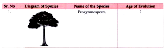 Analyse the evolutionary phase in the plants shown in the diagram and