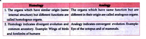 Differentiate between homology and analogy. Give one example of each.