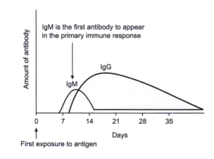 With reference to the graph above, which best describes a primary immu
