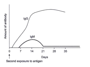 With reference to the graph above, which best describes a secondary im