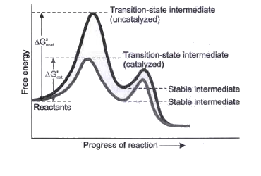 All chemical reactions proceed through one or more transition-state in
