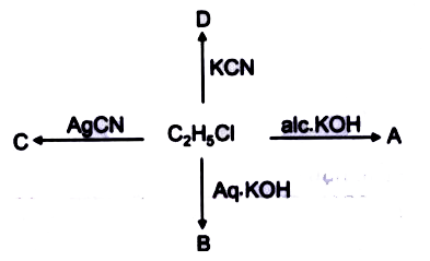 Identify A, B, C and D: