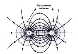 Depict the equipotential surfaces due to an electric dipole.
