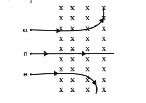 A neutron, an electron and an alpha particle moving with equal velocit