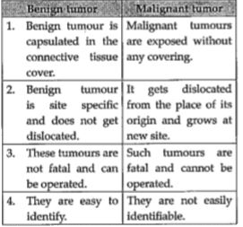 Benign And Malignant Tumors What Is The Difference Comparison Between