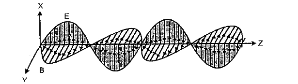 How are e.m. waves produced by oscillating charges ? Draw a sketch of