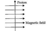 A proton enters a magnetic field at right angle to it, as shown below.