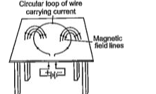 Consider a circular loop of wire lying in the plane of the table. Let