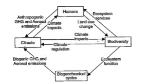 Given below is a schematic representation. Analyse and answer the ques