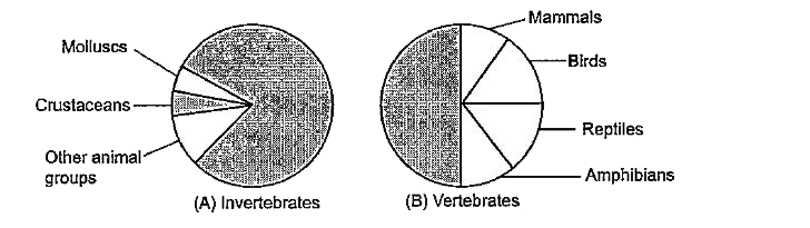 The global animal diversity is shown in the pie charts (A-Invertebrate