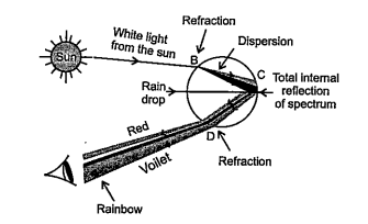 Case 1: A rainbow is a natural spectrum appearing in the sky after a