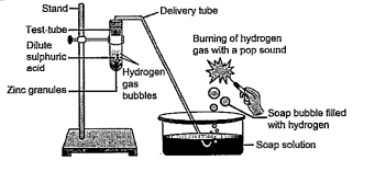 Study the given experimental set-up and answer the following question.