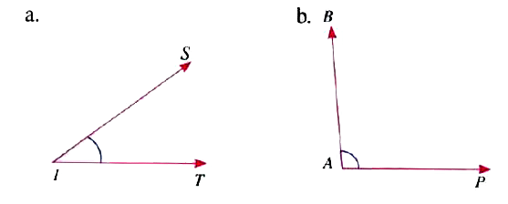 Measure the angles given below : a.