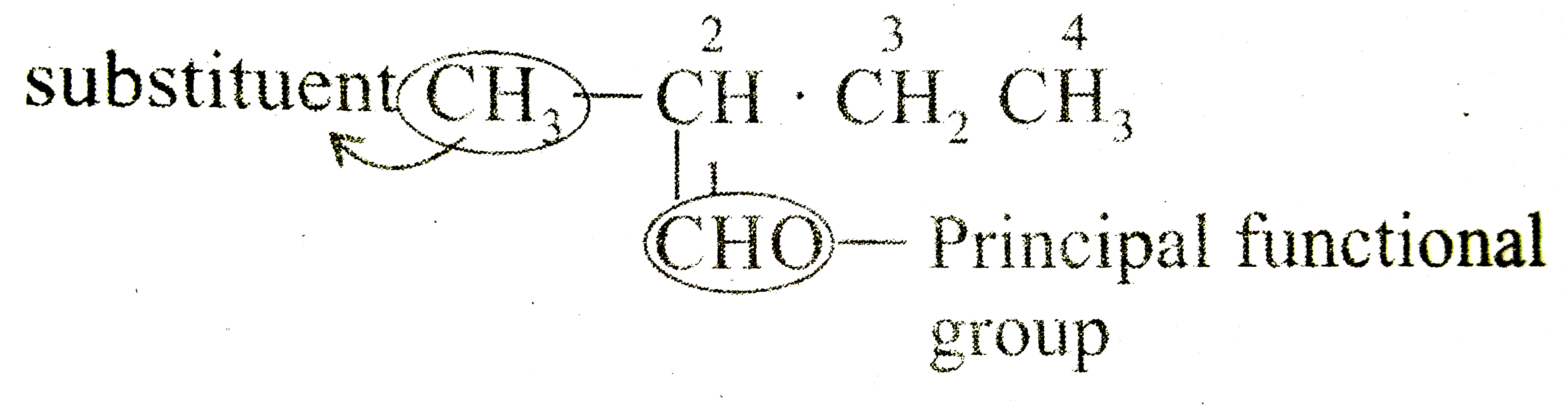 Write the IUPAC names for the following compounds: CH(3) underset(CH