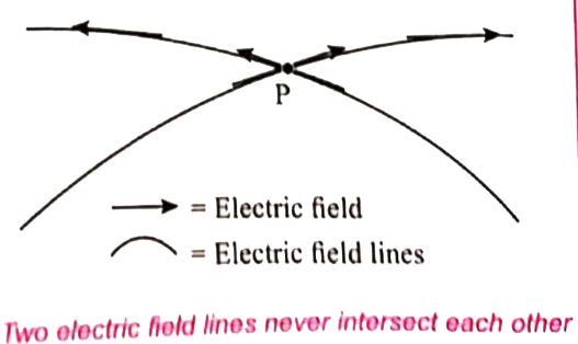 [Tamil] State any three properties of electric field lines.