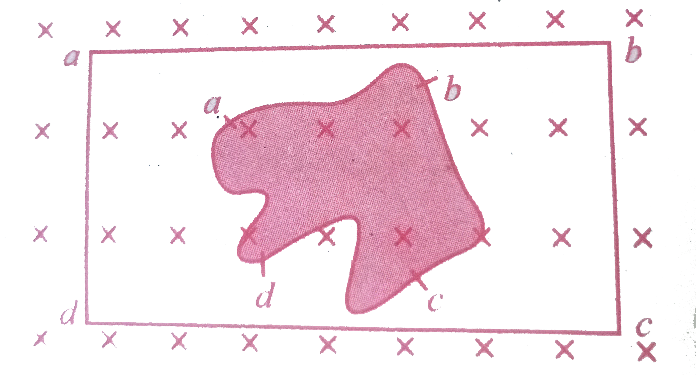 A flexible wire of irregular shape abcd as shown in the figure turns ...