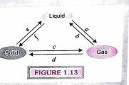 [Punjabi] Study the Fig.1.13. for interconversion of states of matter