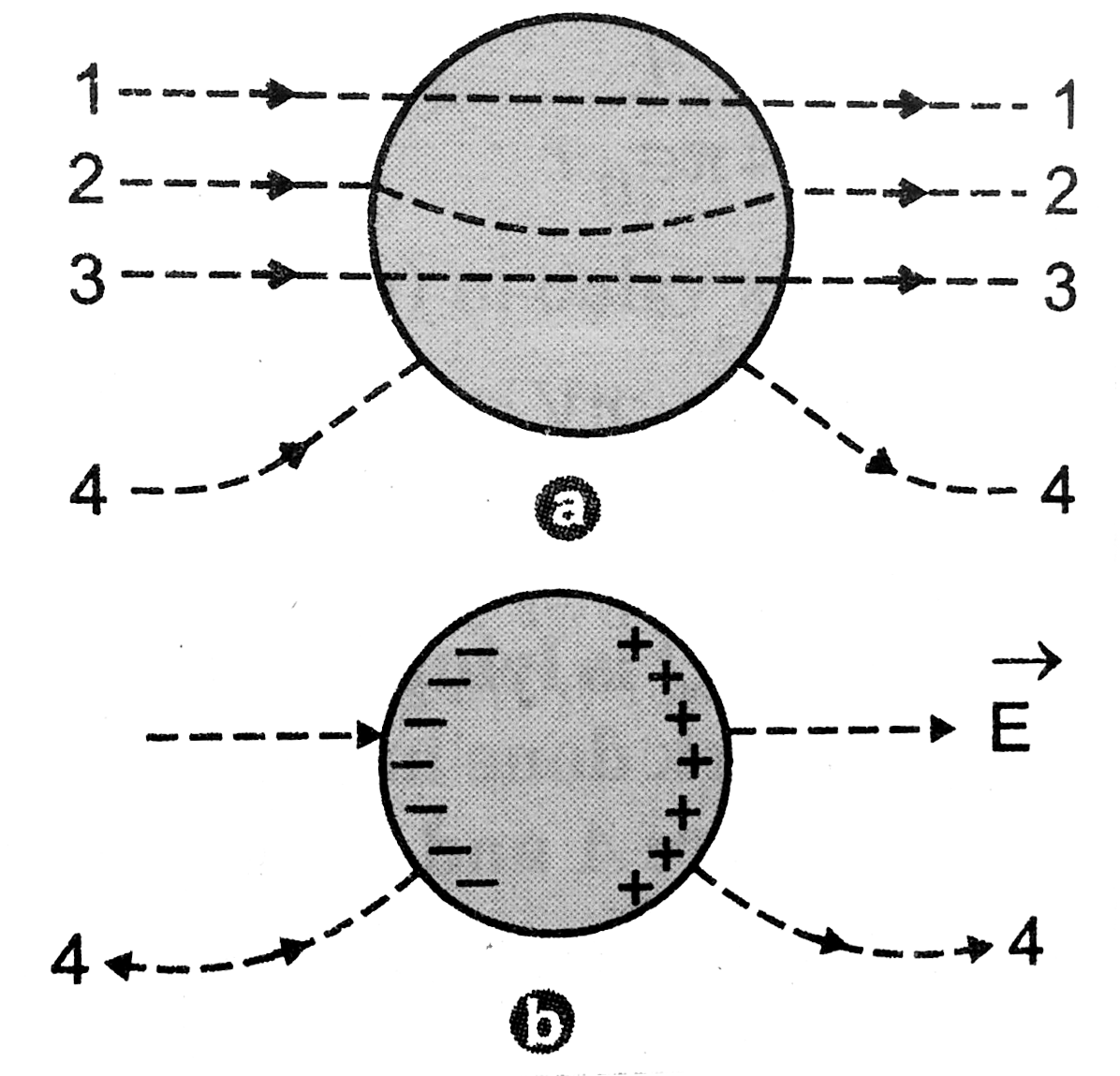 A Solid Metallic Sphere Is Placed In A Uniform Electric Field Which Of