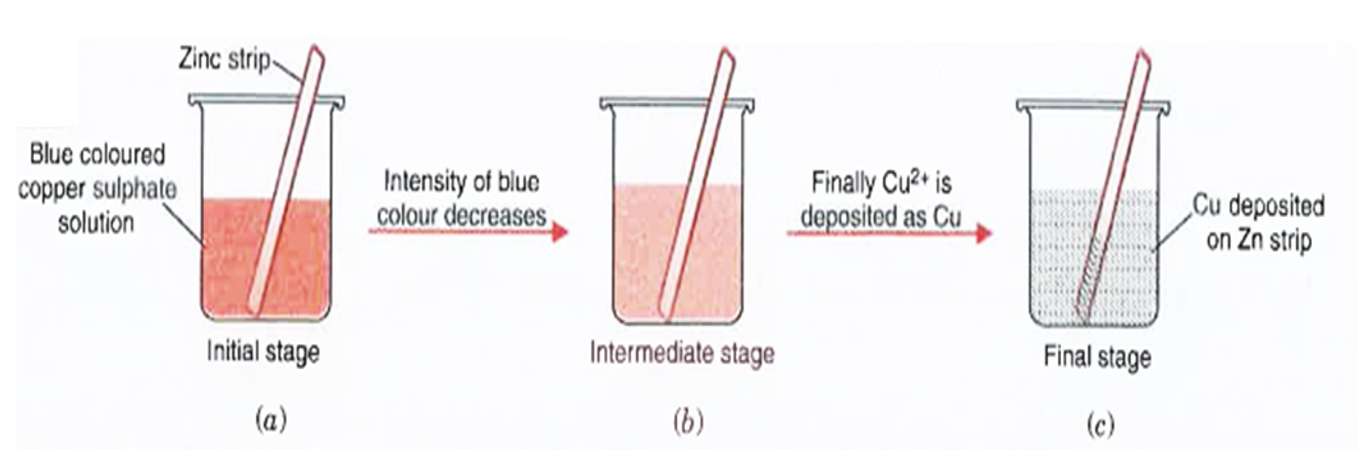 Doubt Solutions - Maths, Science, CBSE, NCERT, IIT JEE, NEET