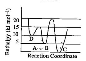 D is kinetically stable product.