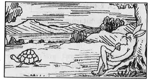 A Hare and A Tortoise A hare……………a tortoise………….fast friends………….pro