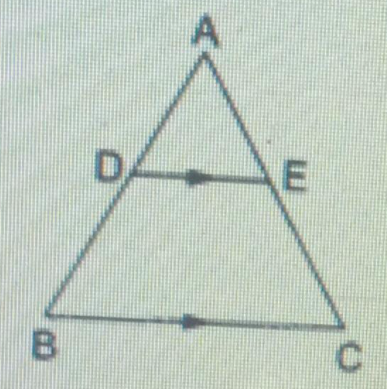 In triangle ABC, DE abs BC such that AD/DB=3/5, If AC= 5.6 cm then, AE