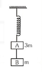 Two blocks A and B of masses 3 m and m respectively are connected by a
