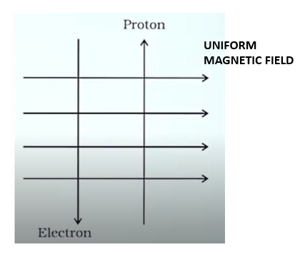 forces pointing into the plane of paper and out of the plane of paper,