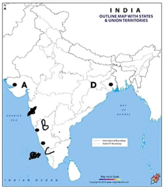 On the same given map of India, locate New Mangalore Port.