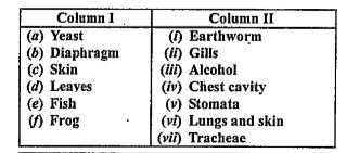 Match the items in Column I with those in Column II: