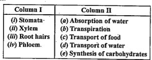 Match structures gives in Column I with functions gives in Column II