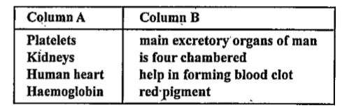 Match the columns A and B