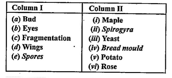 Match items in Column I with those in Column II