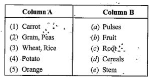 Match the Column A with Column B
