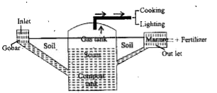 Draw a neat diagram of a biogas plant and label (i) inlet of slurry,
