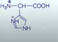 The correct structure of histidine in a strongly acidic solution (pH=2