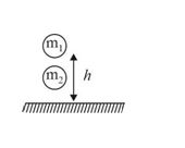 Two balls having masses m1 and m2 having very little separation betw