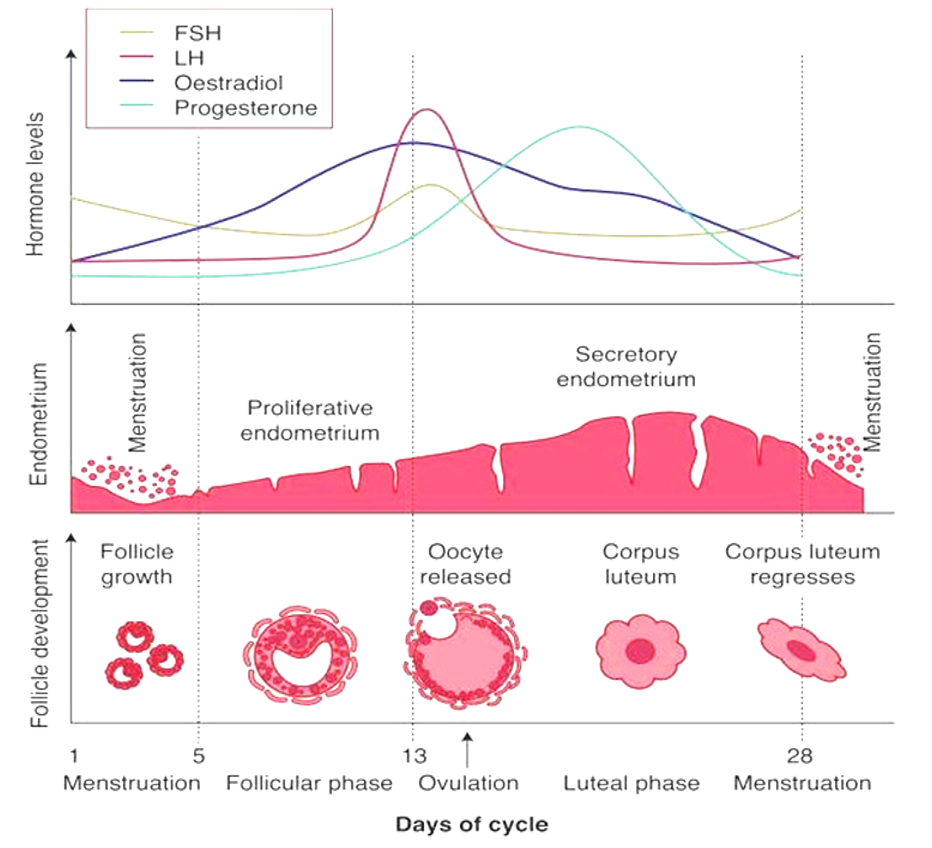 Doubt Solutions - Maths, Science, CBSE, NCERT, IIT JEE, NEET