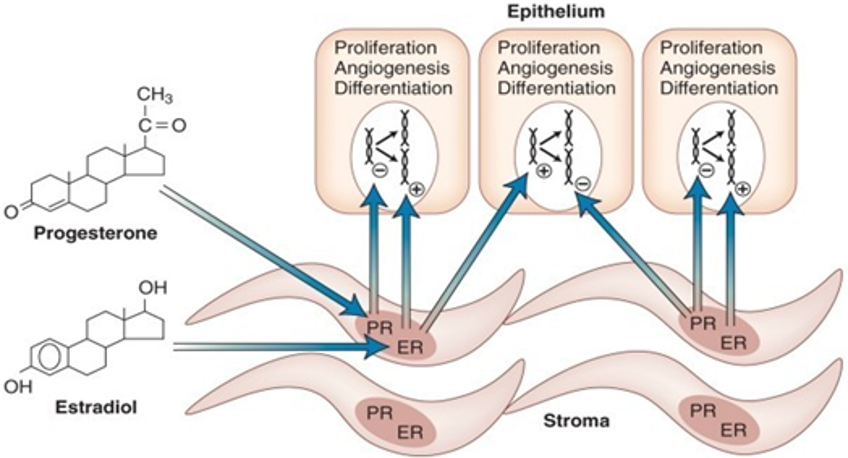 Doubt Solutions - Maths, Science, CBSE, NCERT, IIT JEE, NEET